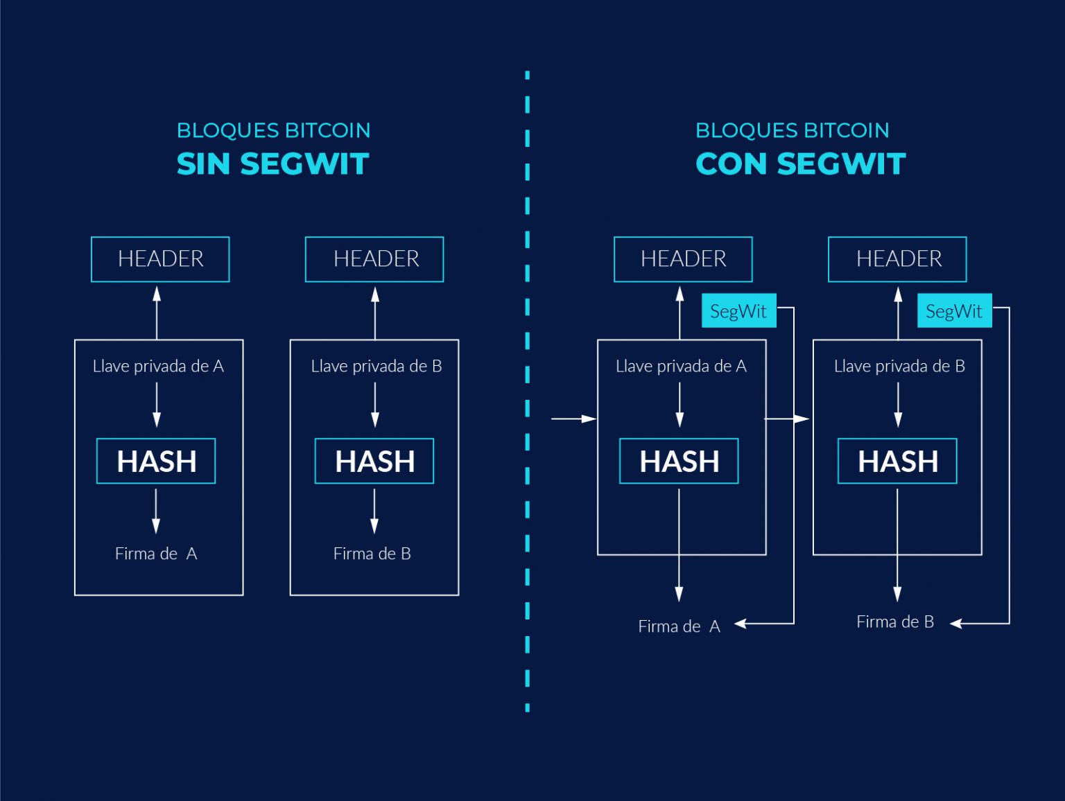 Qu’est-ce que Segwit ? – Bitnovo Blog